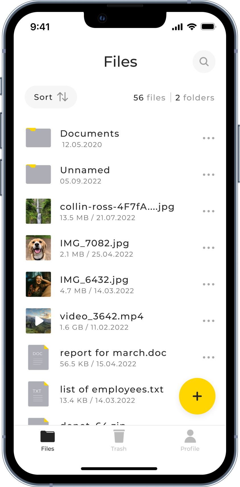 DeNet - DePIN Storage Layer